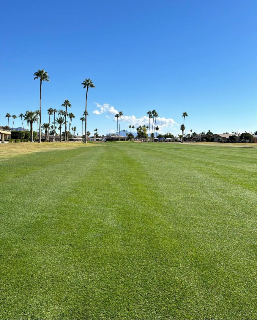 Tournaments – Apache Wells Country Club