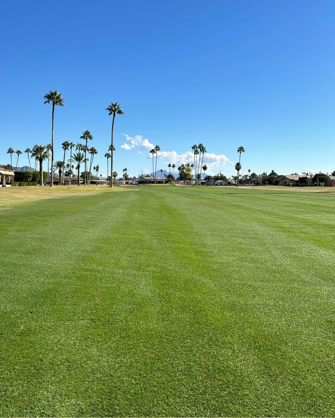 Tournaments – Apache Wells Country Club